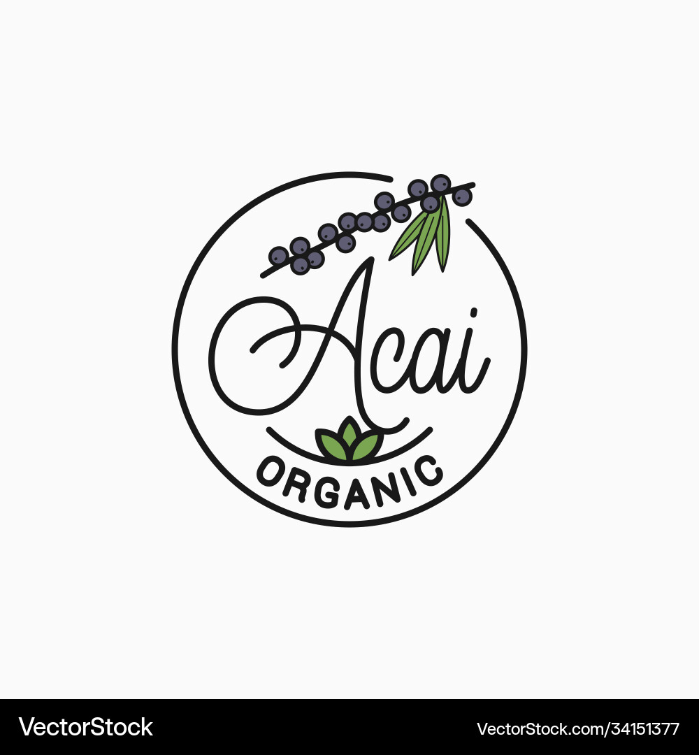 Acai branch logo round linear superfood Royalty Free Vector