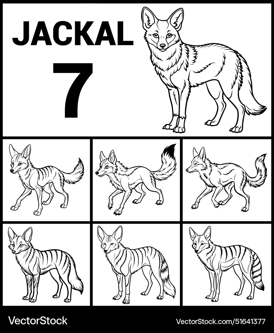 Jackal outline set detailed Royalty Free Vector Image