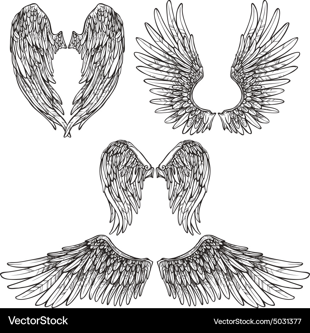 Wing Sketch Collection Royalty Free Vector Image