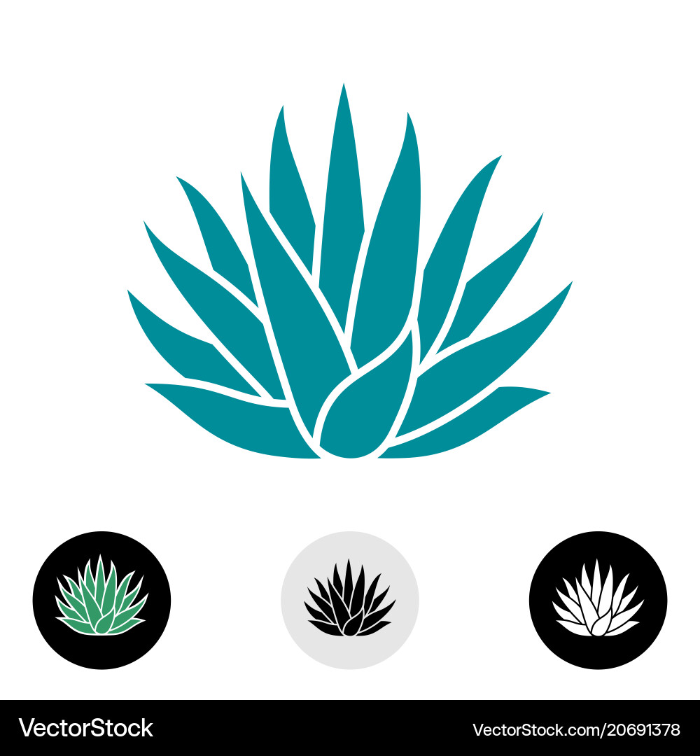 Blue agave plant silhouette Royalty Free Vector Image