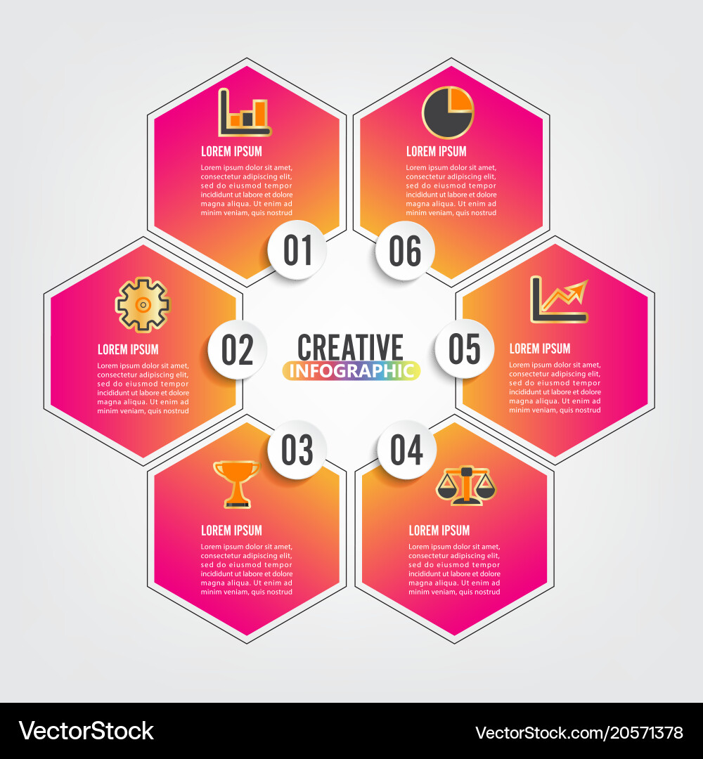 Infographics 6 options template Royalty Free Vector Image