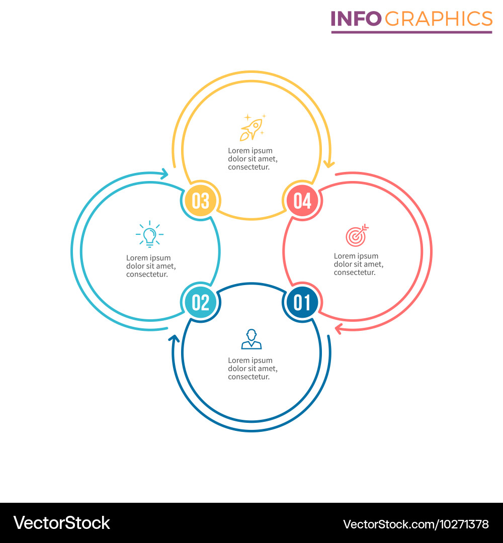 Linear infographics chart with 4 steps options Vector Image