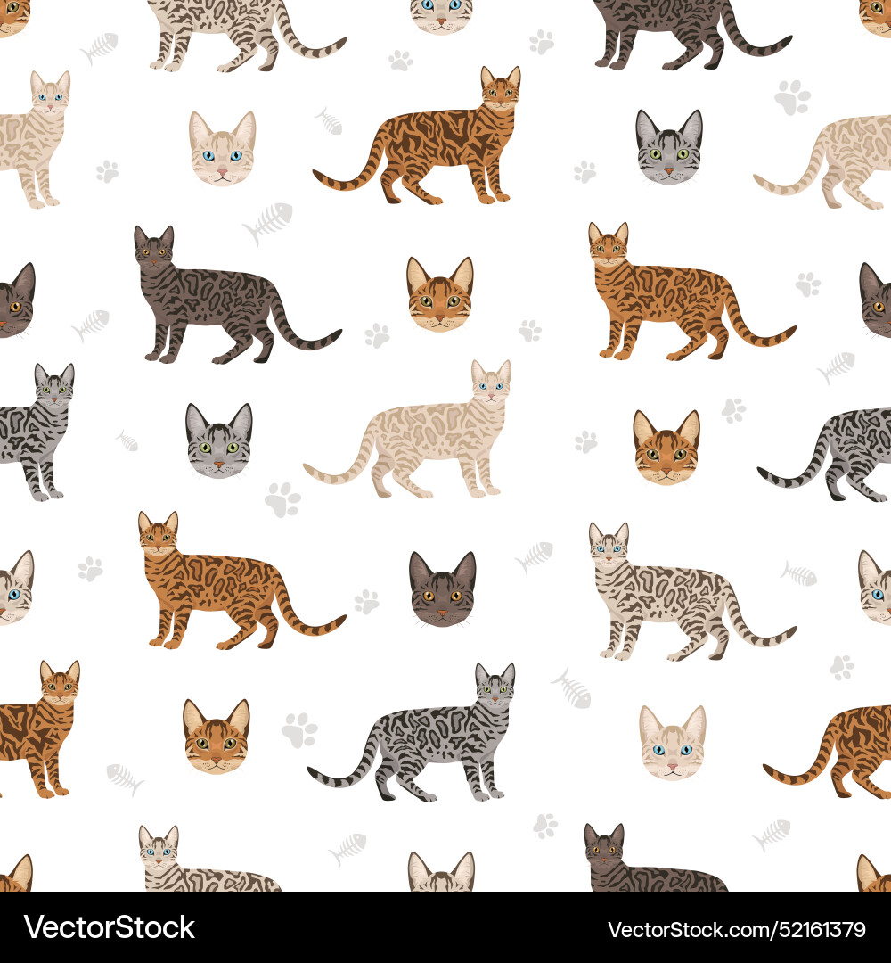 Bengal cat seamless pattern all coat colors set Vector Image