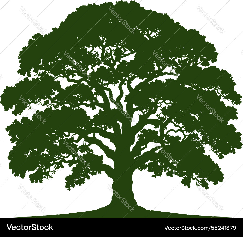 Oak tree silhouette Royalty Free Vector Image - VectorStock