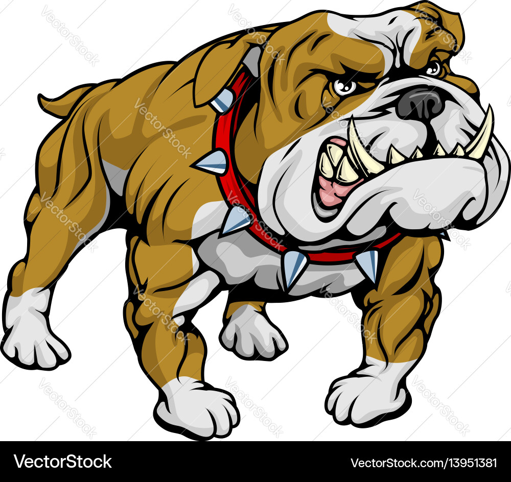Bulldog clipart Royalty Free Vector Image - VectorStock