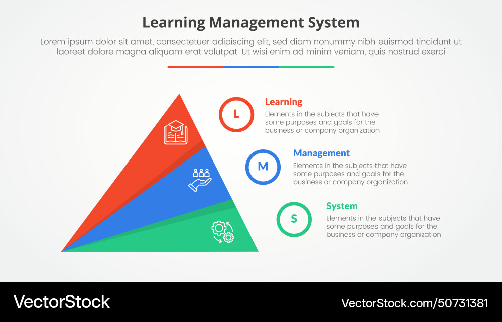 Lms learning management system infographic Vector Image