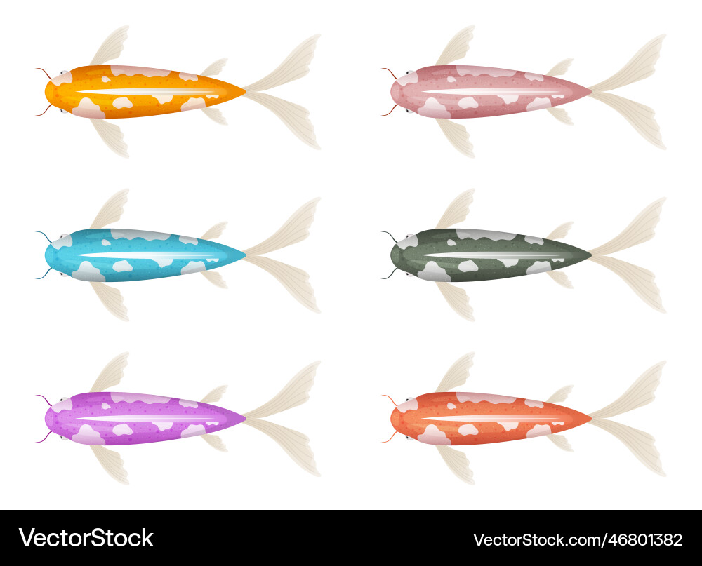 Fish design isolated on white background Vector Image