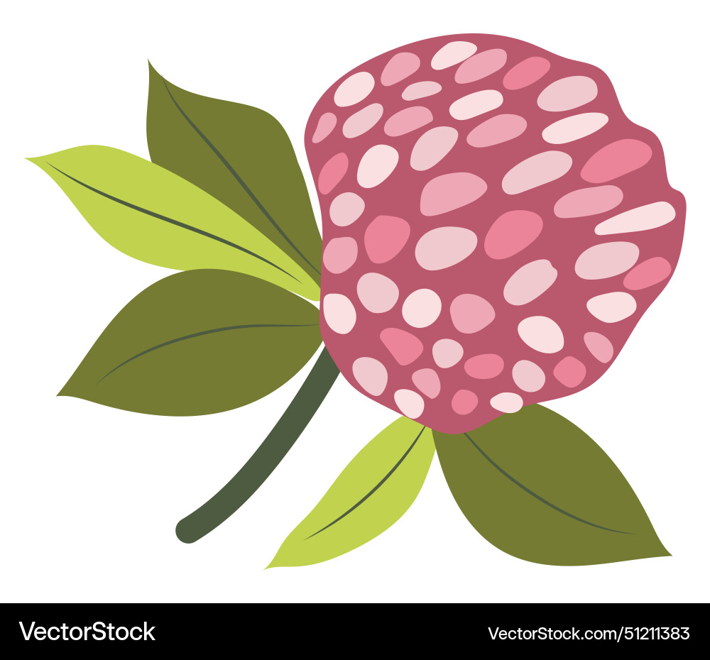 Abstract pink hydrangea in flat design blooming Vector Image