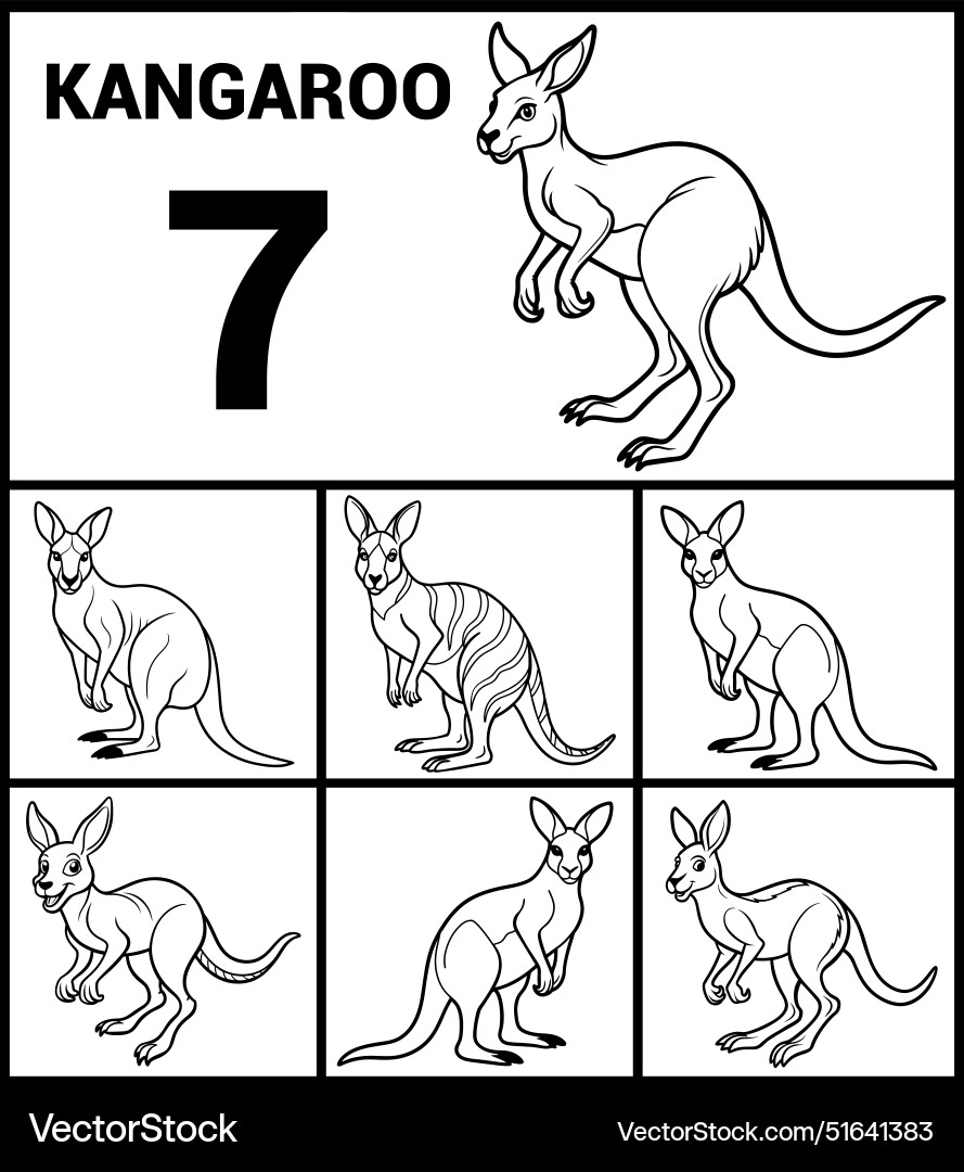 Kangaroo outline set detailed Royalty Free Vector Image
