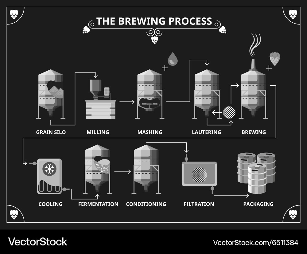 Beer brewing process production Royalty Free Vector Image