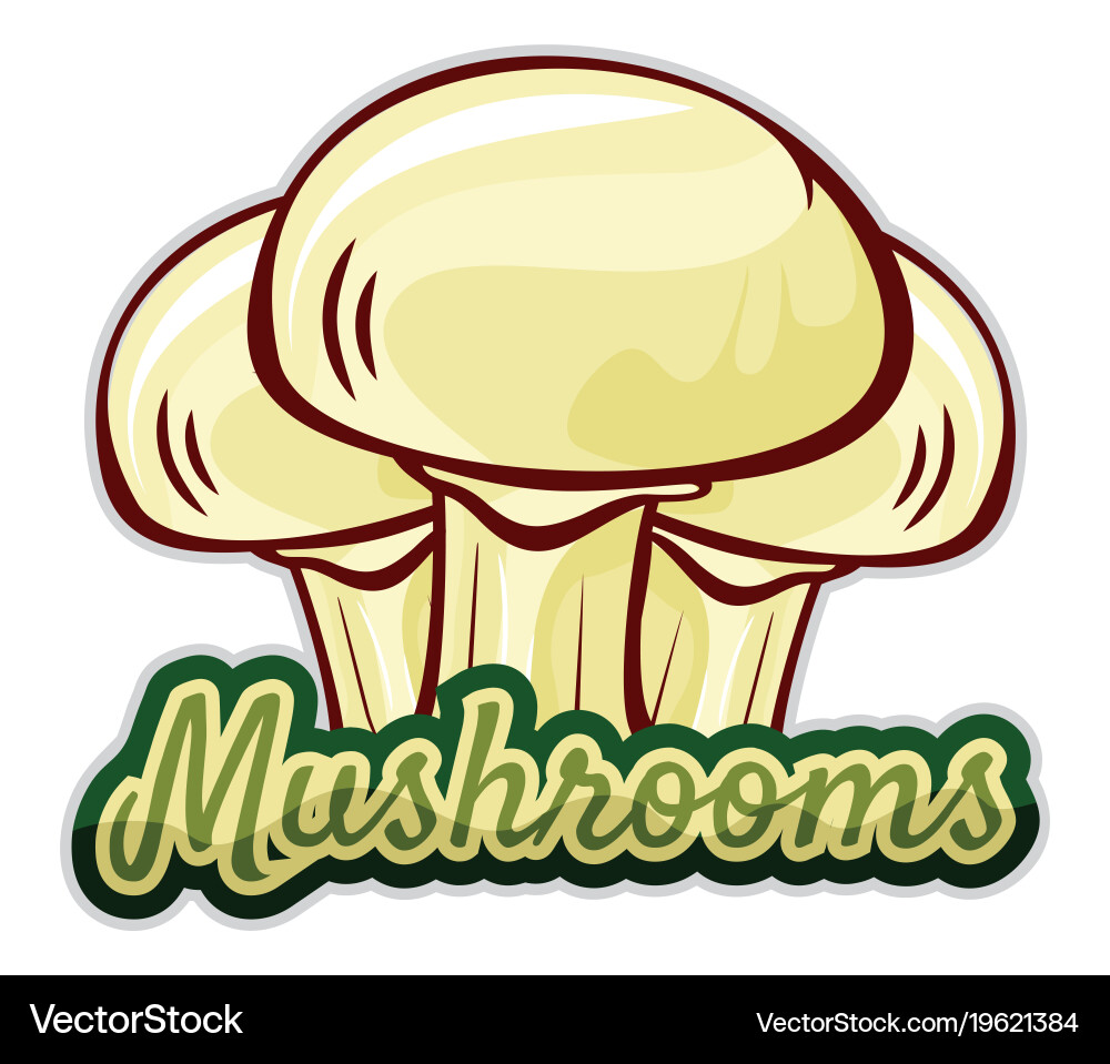 Button mushrooms Royalty Free Vector Image - VectorStock