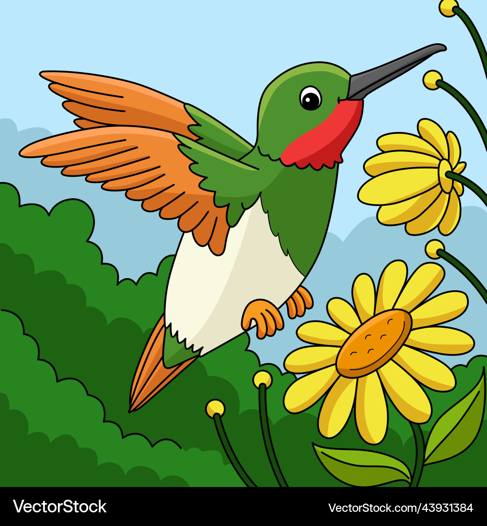 Hummingbird animal colored cartoon Royalty Free Vector Image