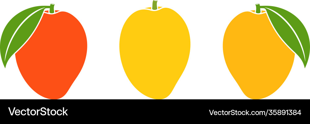 Mango Royalty Free Vector Image - VectorStock