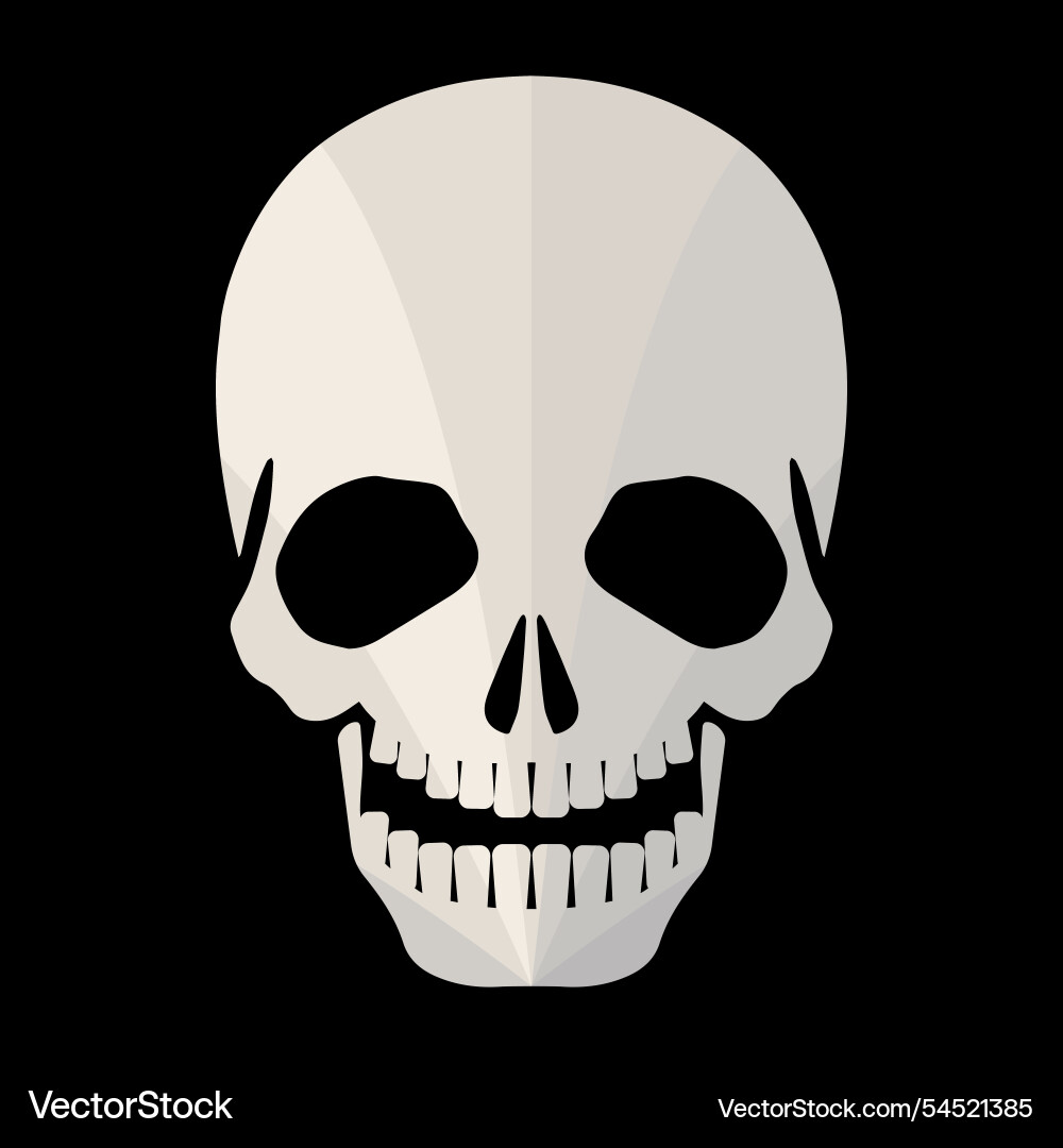 A human skull with lower jaw Royalty Free Vector Image