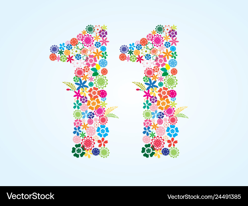 Colorful floral 11 number design isolated Vector Image