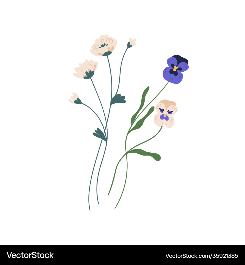 Gorgeous bunch blossomed wildflowers like Vector Image