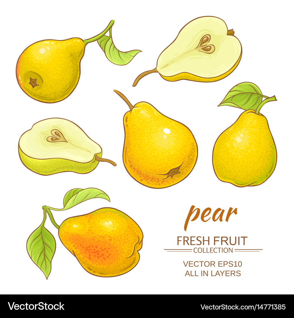 Pear set Royalty Free Vector Image - VectorStock