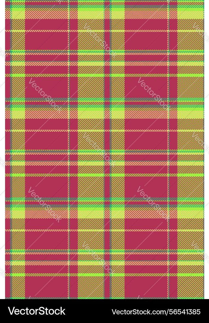 Stitched textile texture tartan manufacturing Vector Image