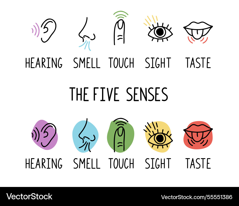 Five Senses Sight Vector Images (over 460)