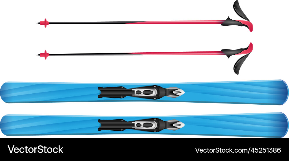 Realistic skis Royalty Free Vector Image - VectorStock