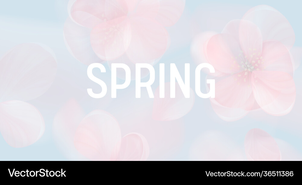 Sakura petal pink background spring Royalty Free Vector