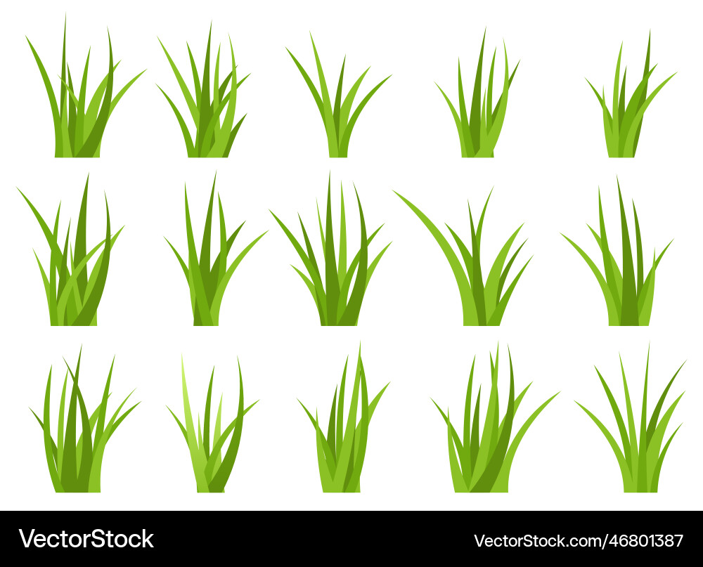 Green grass design isolated on white background Vector Image