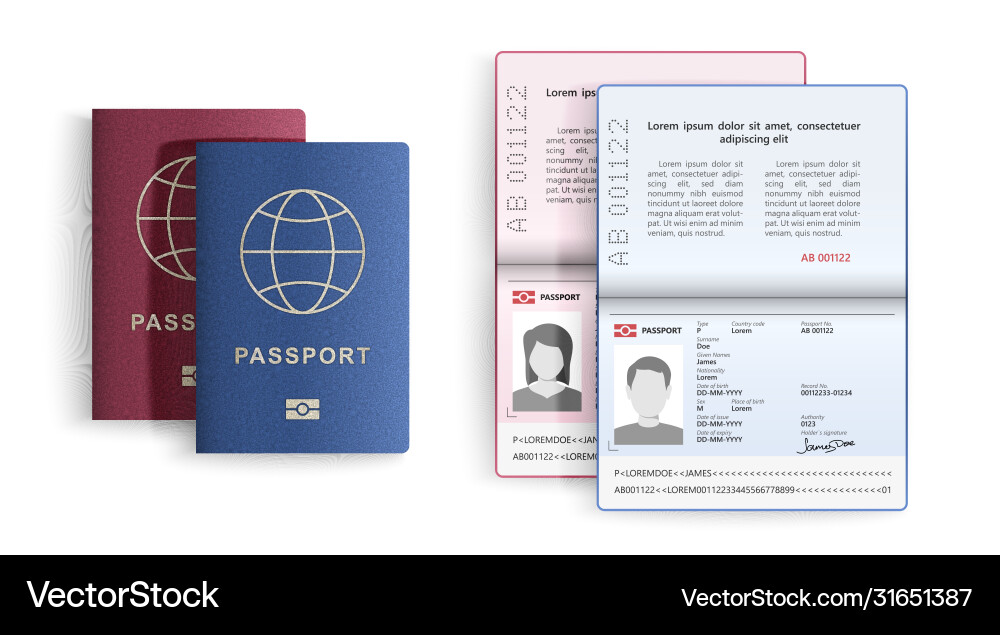 Realistic set passport identity card isolated Vector Image