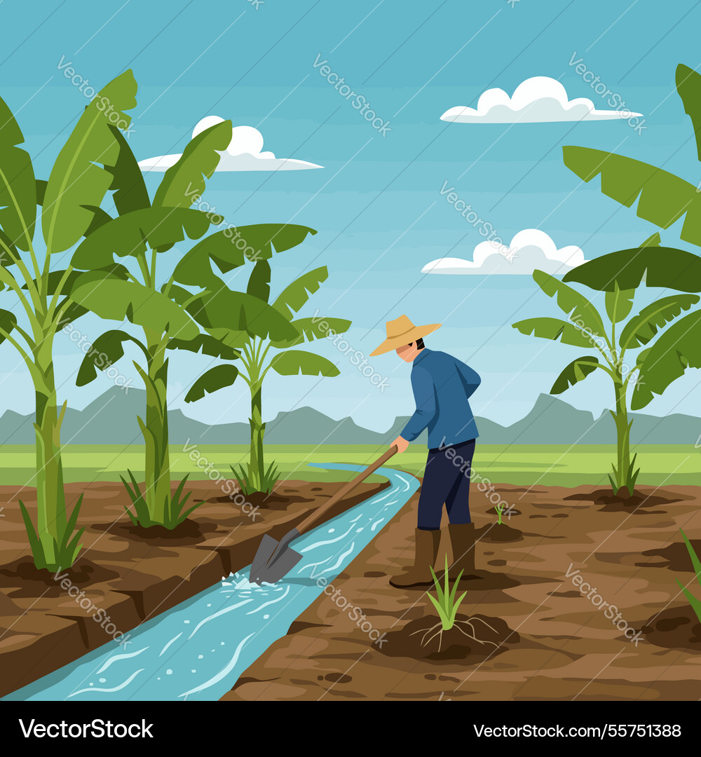 Farmer irrigating crops with shovel in field Vector Image