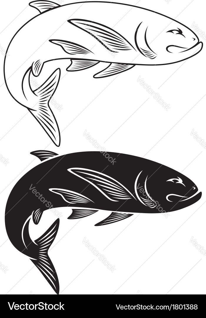 Trout Royalty Free Vector Image - VectorStock