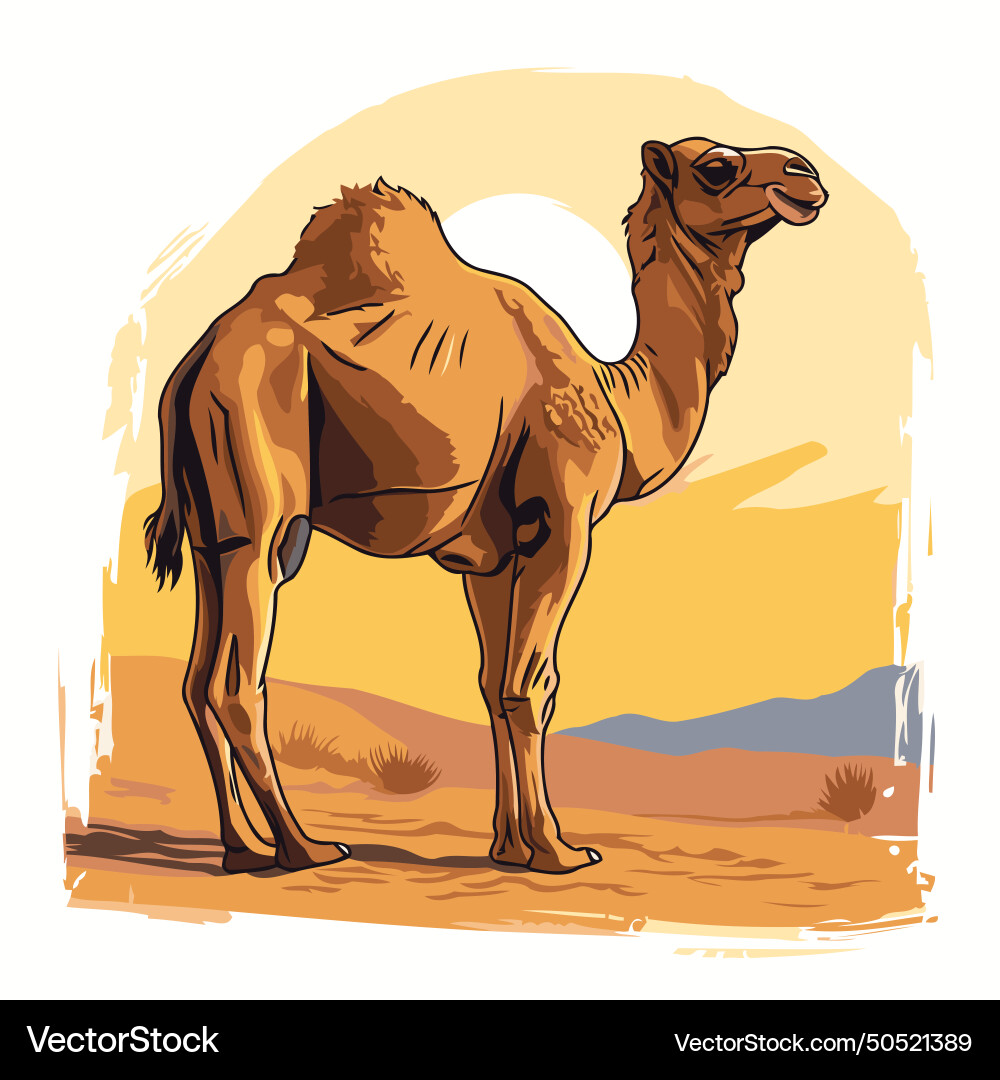 Camel in the desert Royalty Free Vector Image - VectorStock