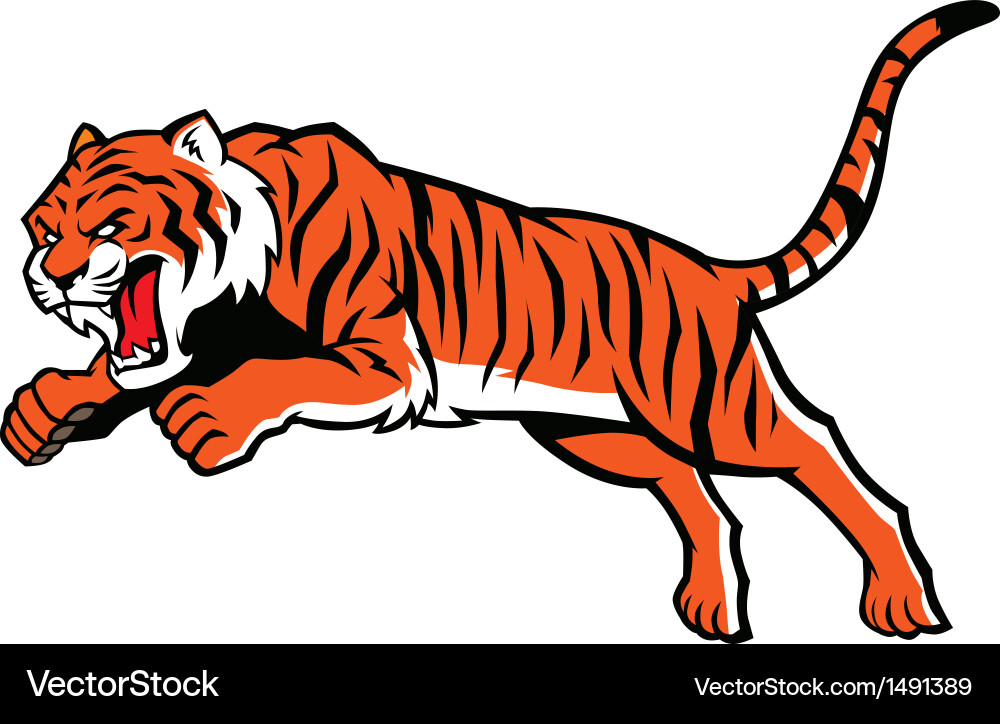 Jumping Tiger Vector