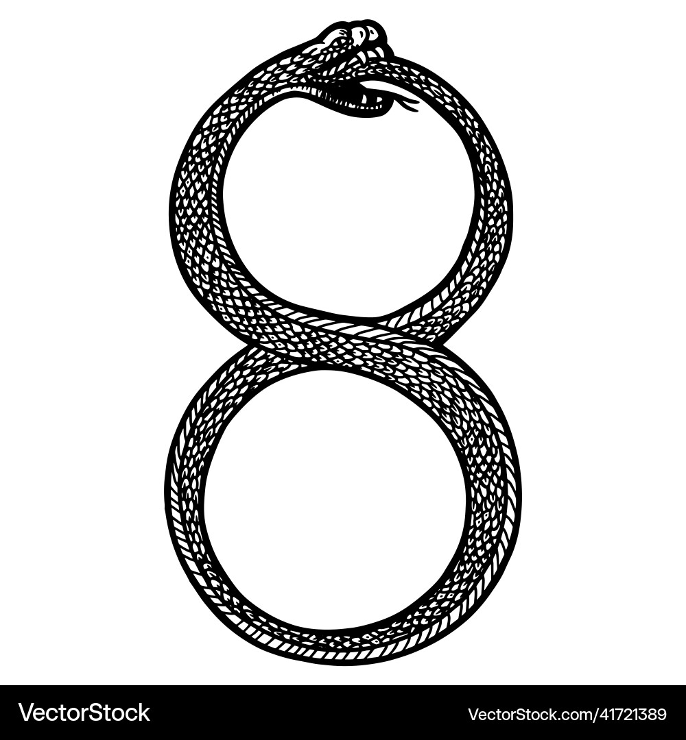 Ouroboros infinity sign dangerous snake line Vector Image