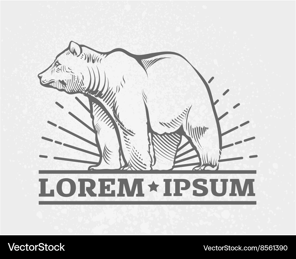 Bear logo emblem simple image Royalty Free Vector Image