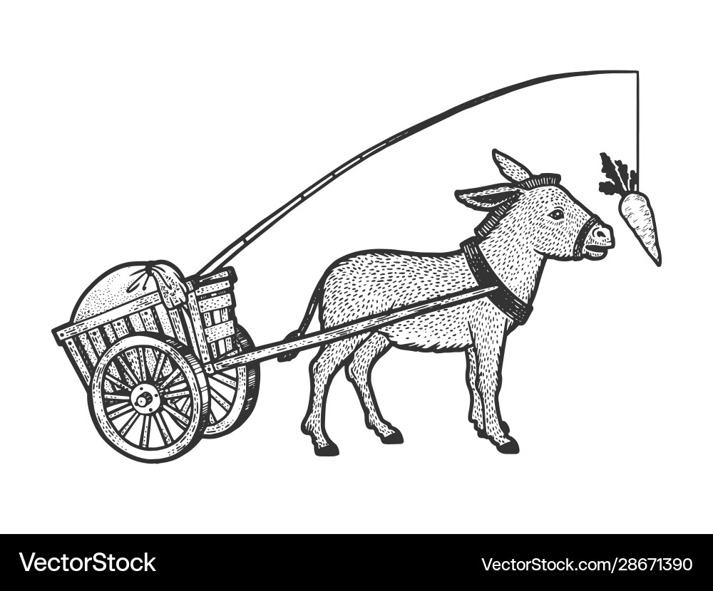 Donkey chasing carrot sketch Royalty Free Vector Image