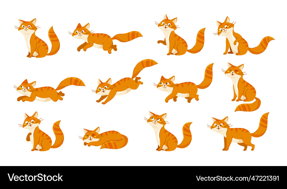 Cat characters set Royalty Free Vector Image - VectorStock