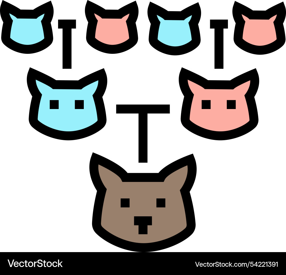 Pedigree chart cat breeding color icon Royalty Free Vector