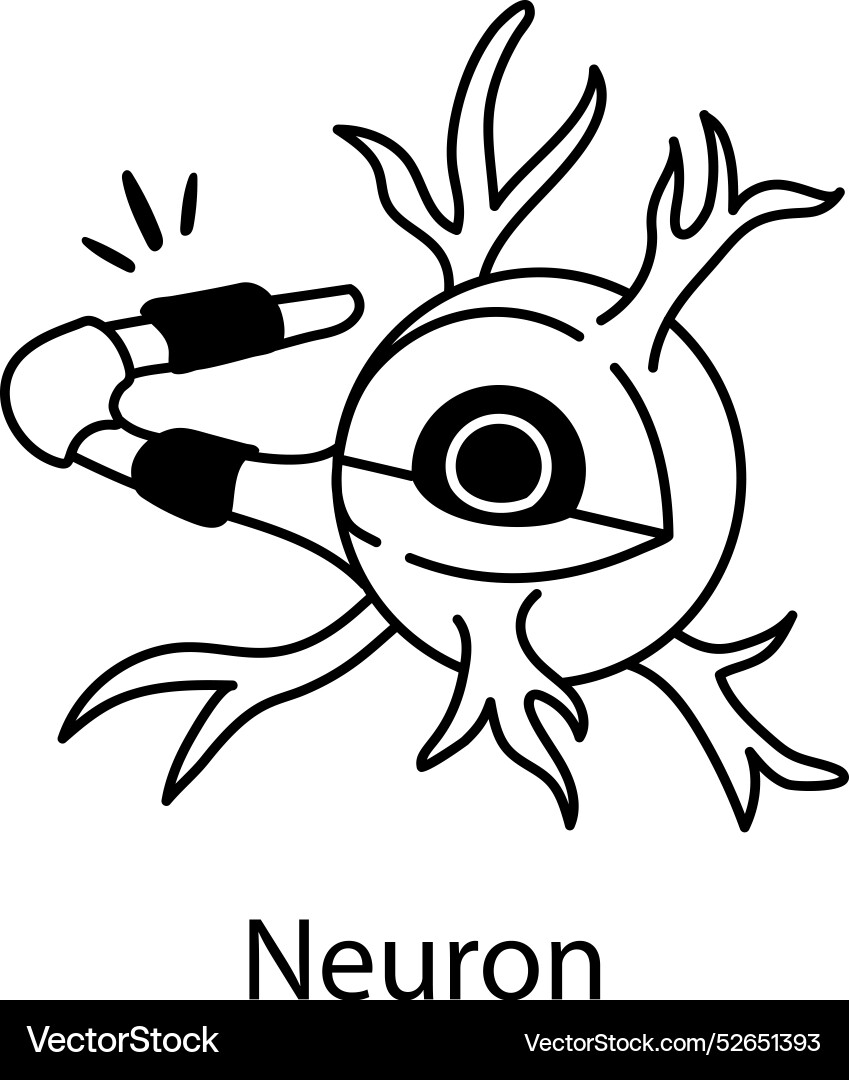Neuron Royalty Free Vector Image - VectorStock