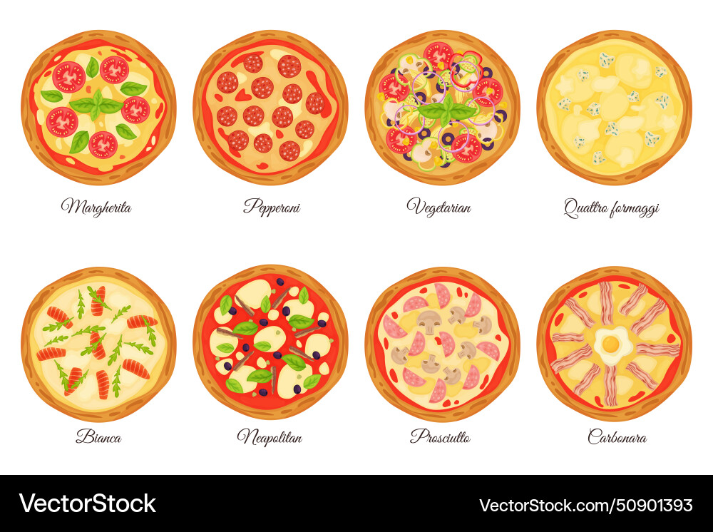 Pizza types set different filling italian Vector Image