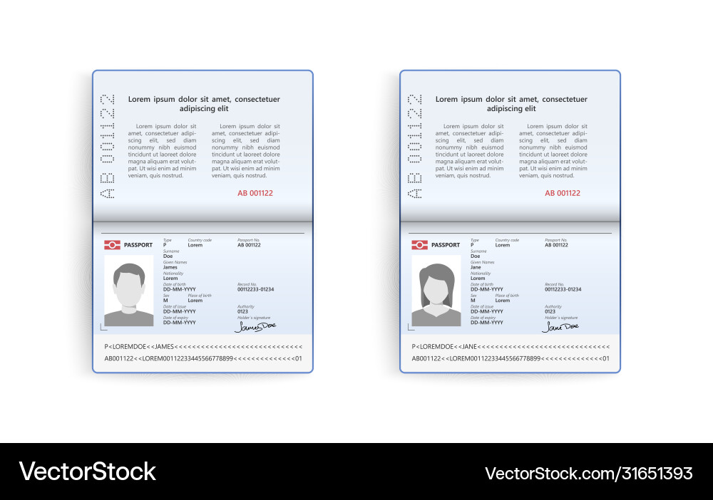 Realistic set passport identity card isolated Vector Image