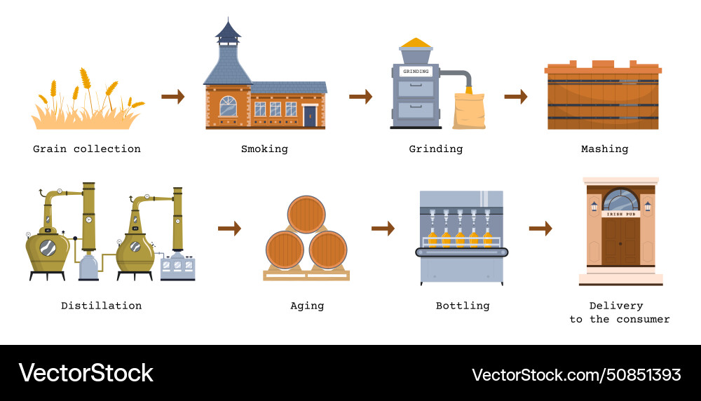 Whiskey production cycle infographics Royalty Free Vector