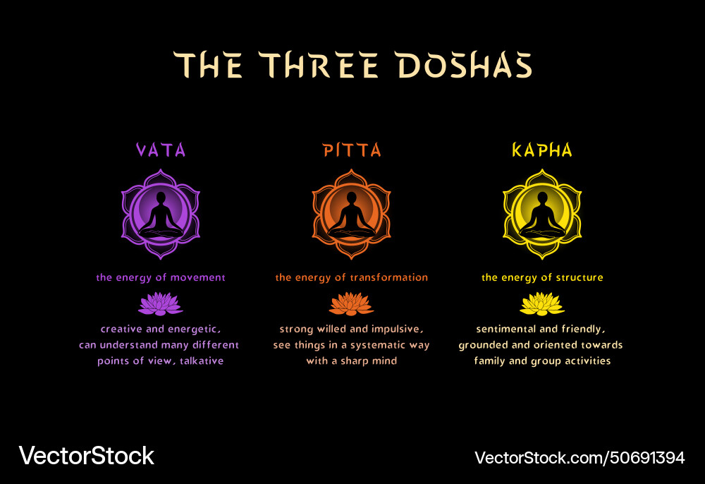 Ayurvedic dosha types infographic poster Vector Image