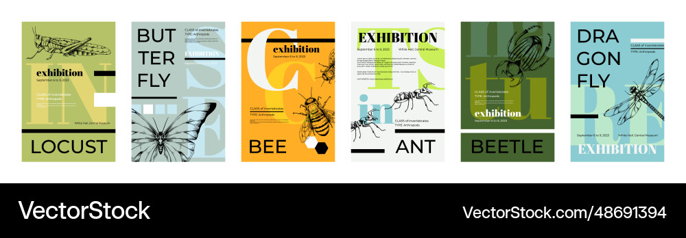 Beetle posters bee hipster collage abstract book Vector Image