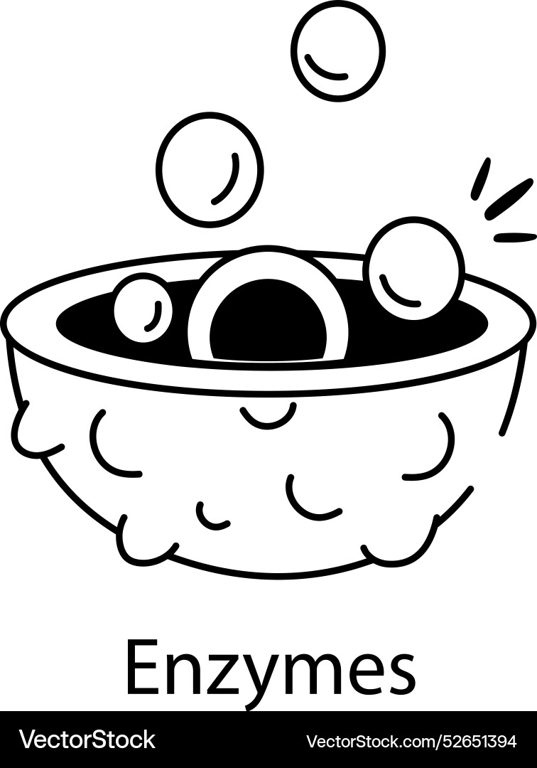 Enzymes Royalty Free Vector Image - VectorStock