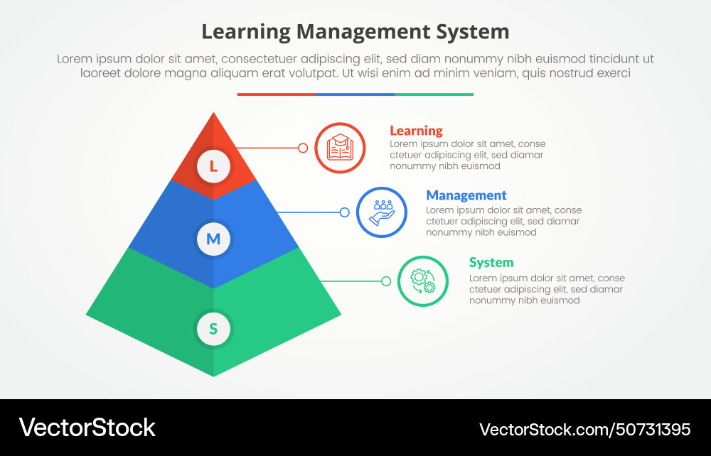 Learning Management System (LMS) Infographic Vector Image