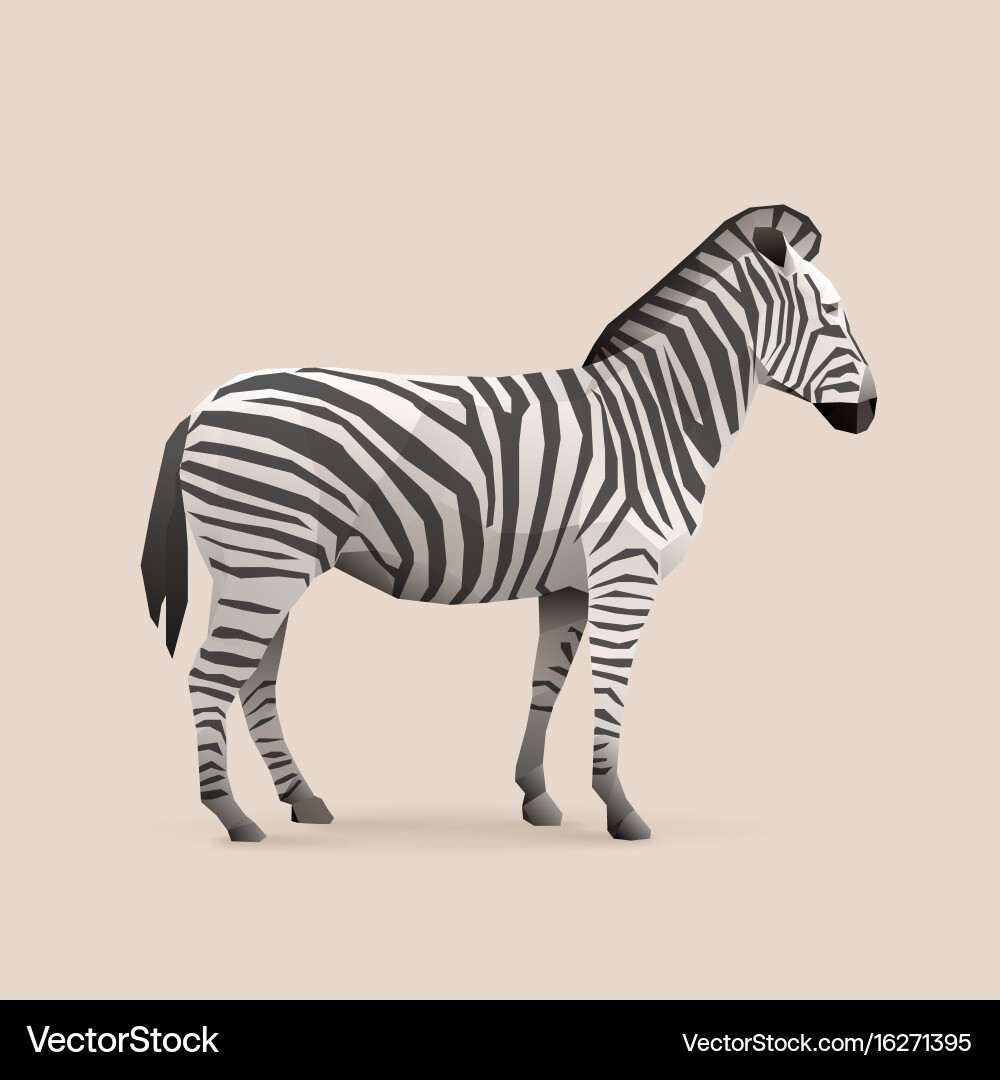 Zebra Royalty Free Vector Image - VectorStock