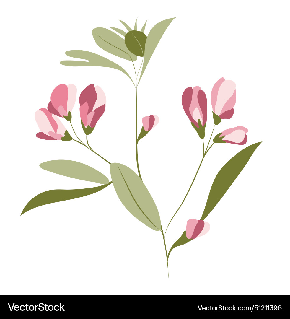 Abstract pink pea flower on twig in flat design Vector Image