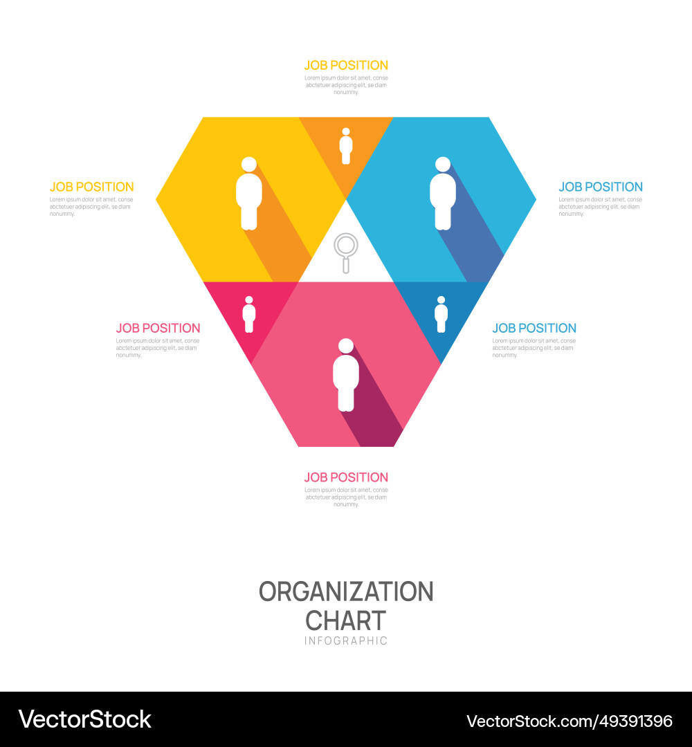 Infographic template for organization chart Vector Image