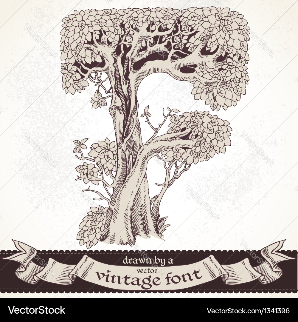 Vintage Forest Hand Drawn Font Royalty Free Vector Image