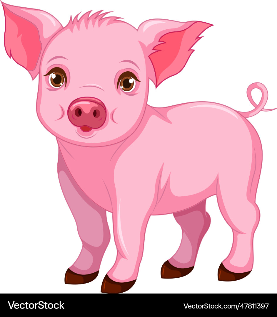 Cute pig cartoon isolated Royalty Free Vector Image