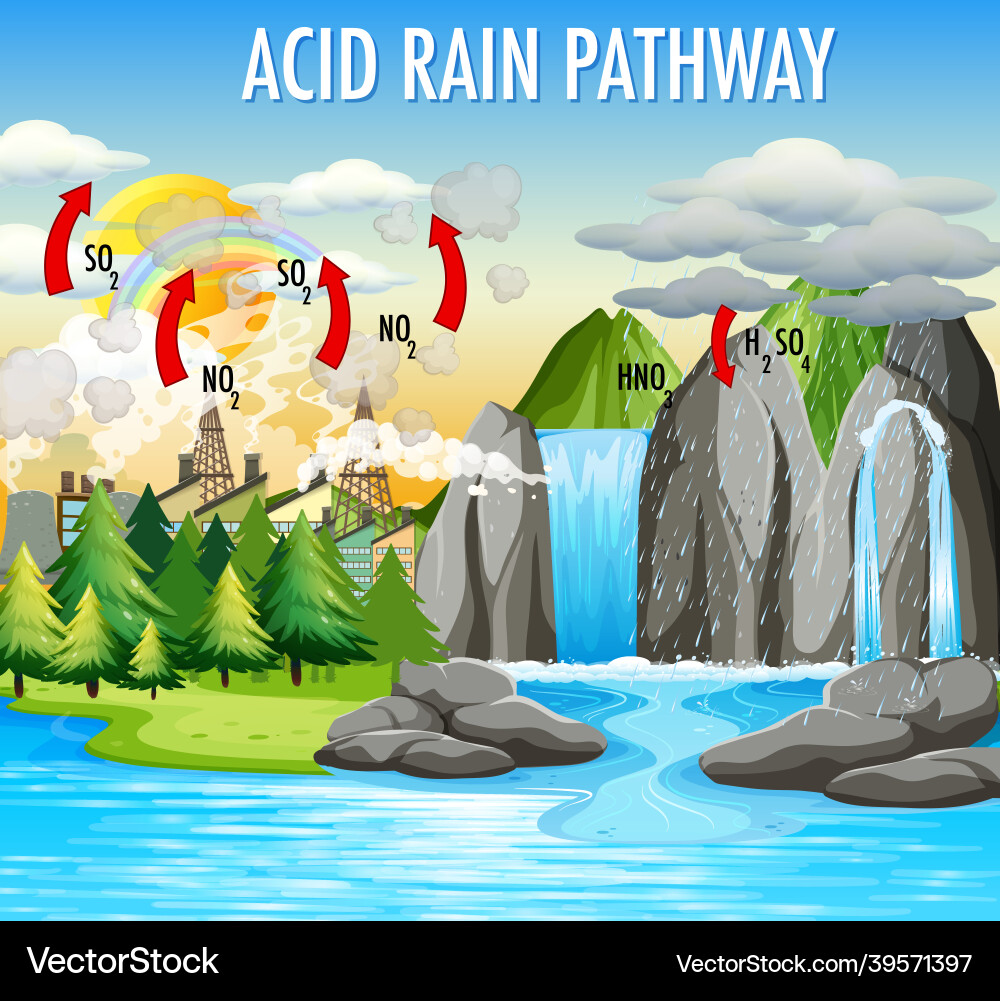 Diagram showing acid rain pathway Royalty Free Vector Image